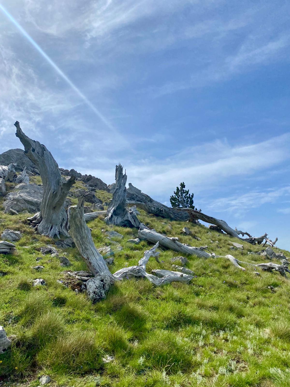 Vivere la montagna di Veronica Mariarca Ciscognetti
